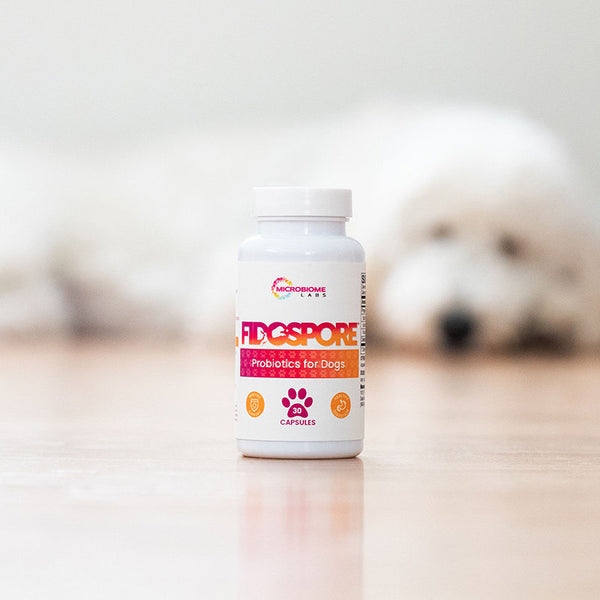 FidoSpore™ Spore Based Probiotic for Dogs and Cats - Made in USA – Long ...